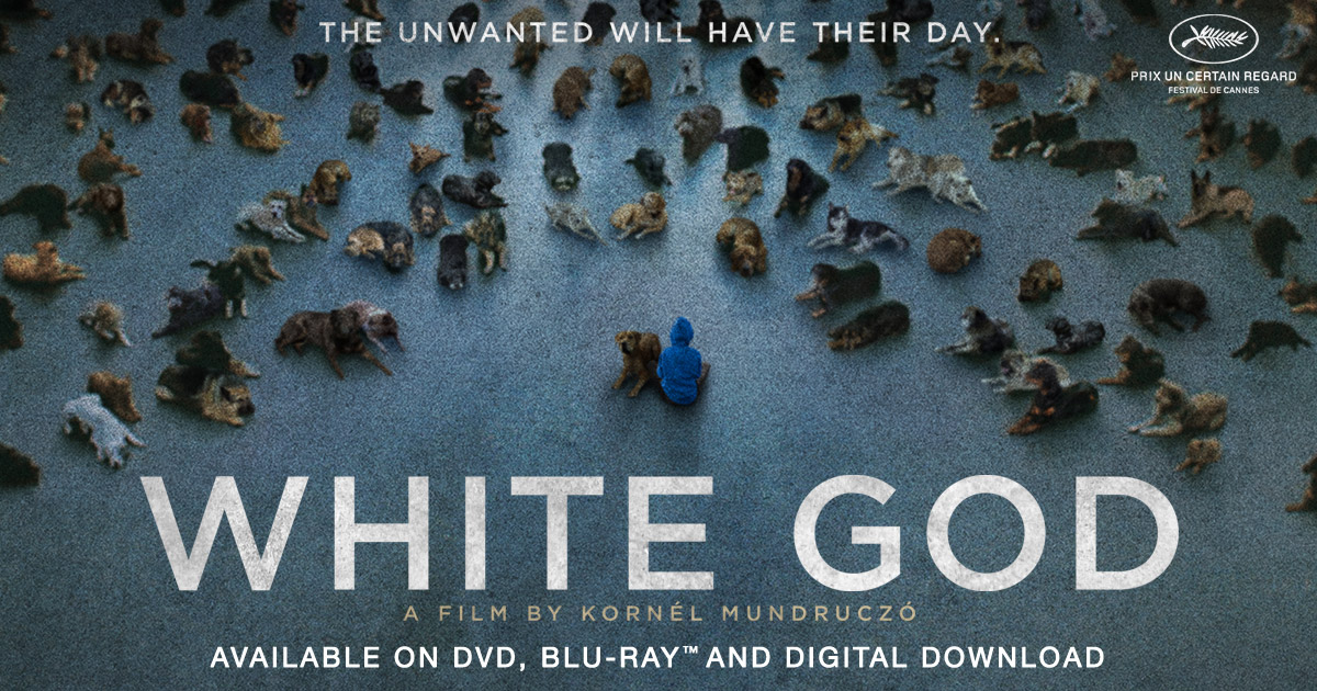 White God (Official Movie Site) - Available on DVD, Blu-ray™ and ...